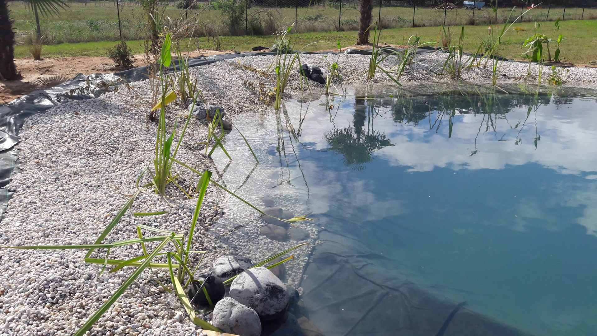 Création de bassin à Pessac - Fans de Bassins et Jardins